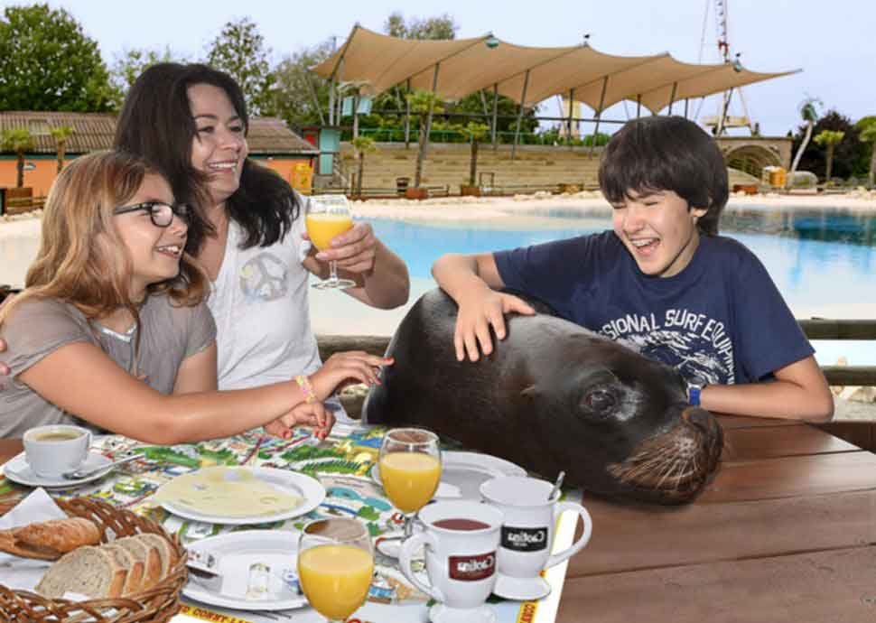 Connyland, DER Freizeitpark der Schweiz - Boomer.at